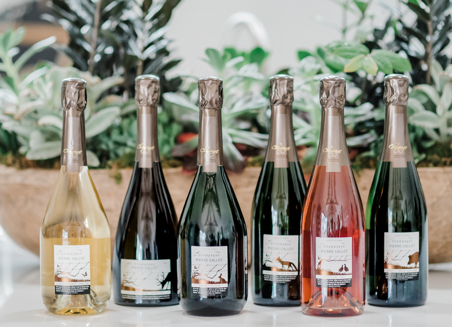 The Bubbles Club – We Drink Bubbles